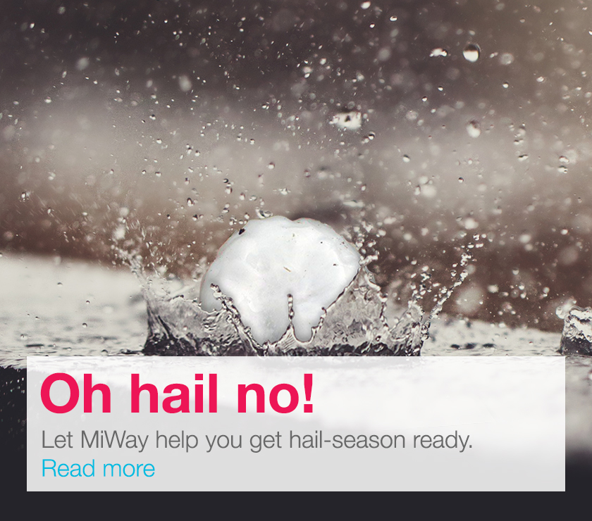 MiWay Insurance Company | Cheaper insurance great benefits | MiWay.co.za